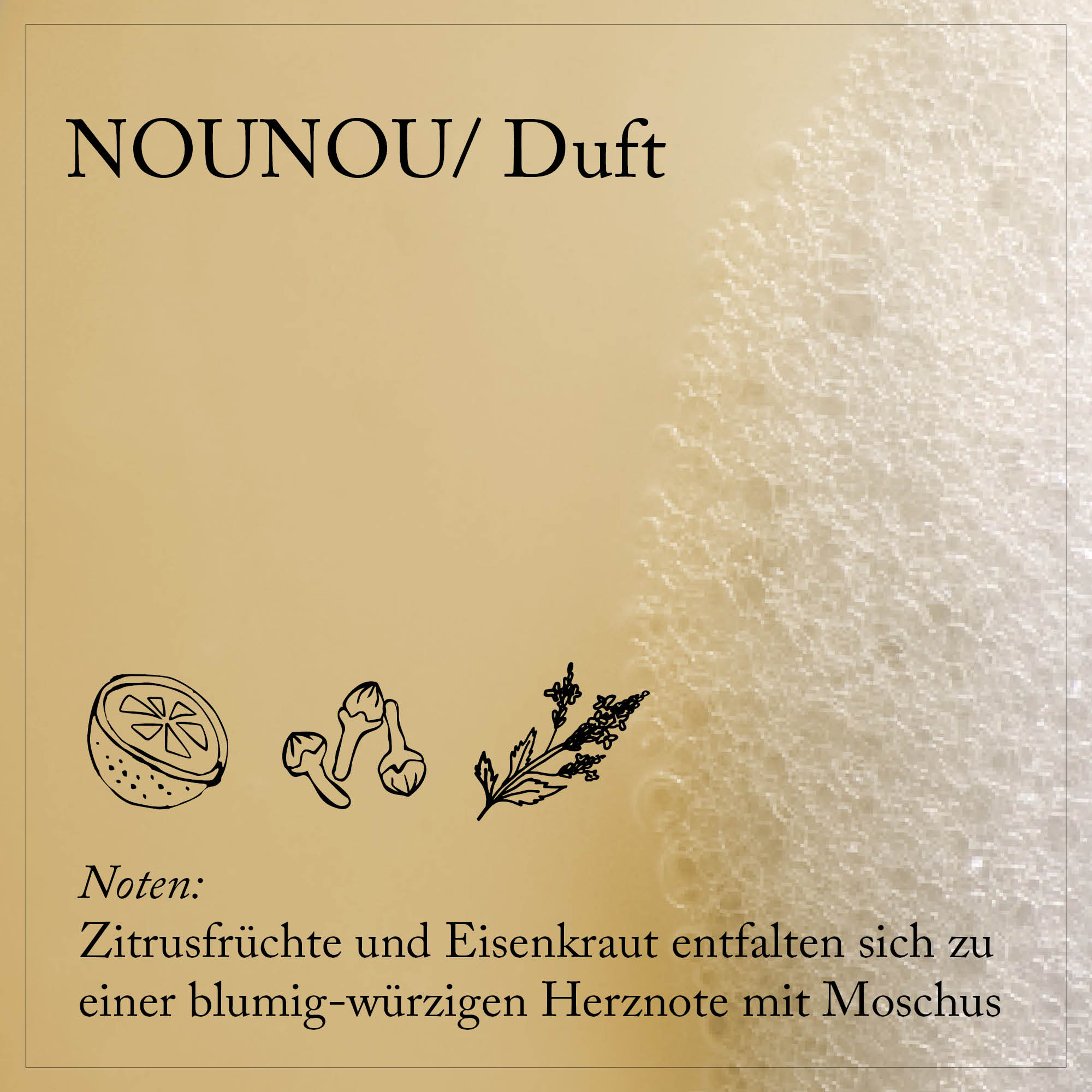 NOUNOU Shampoo von - online bestellen bei ludwigbeck.de